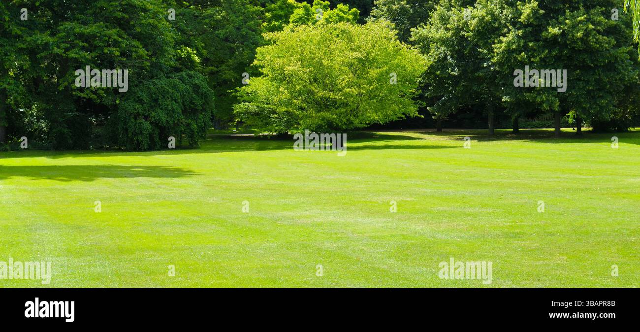A cozy summer park and a green, well-kept lawn. Wide photo Stock Photo ...