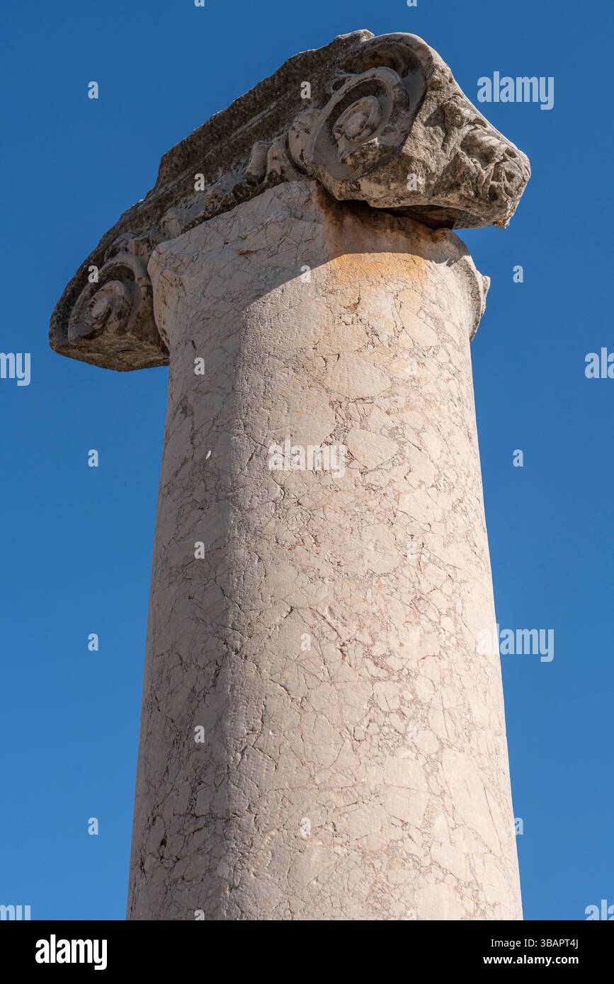 Single weathered column from the Temple of Domitian in Ephesus ...