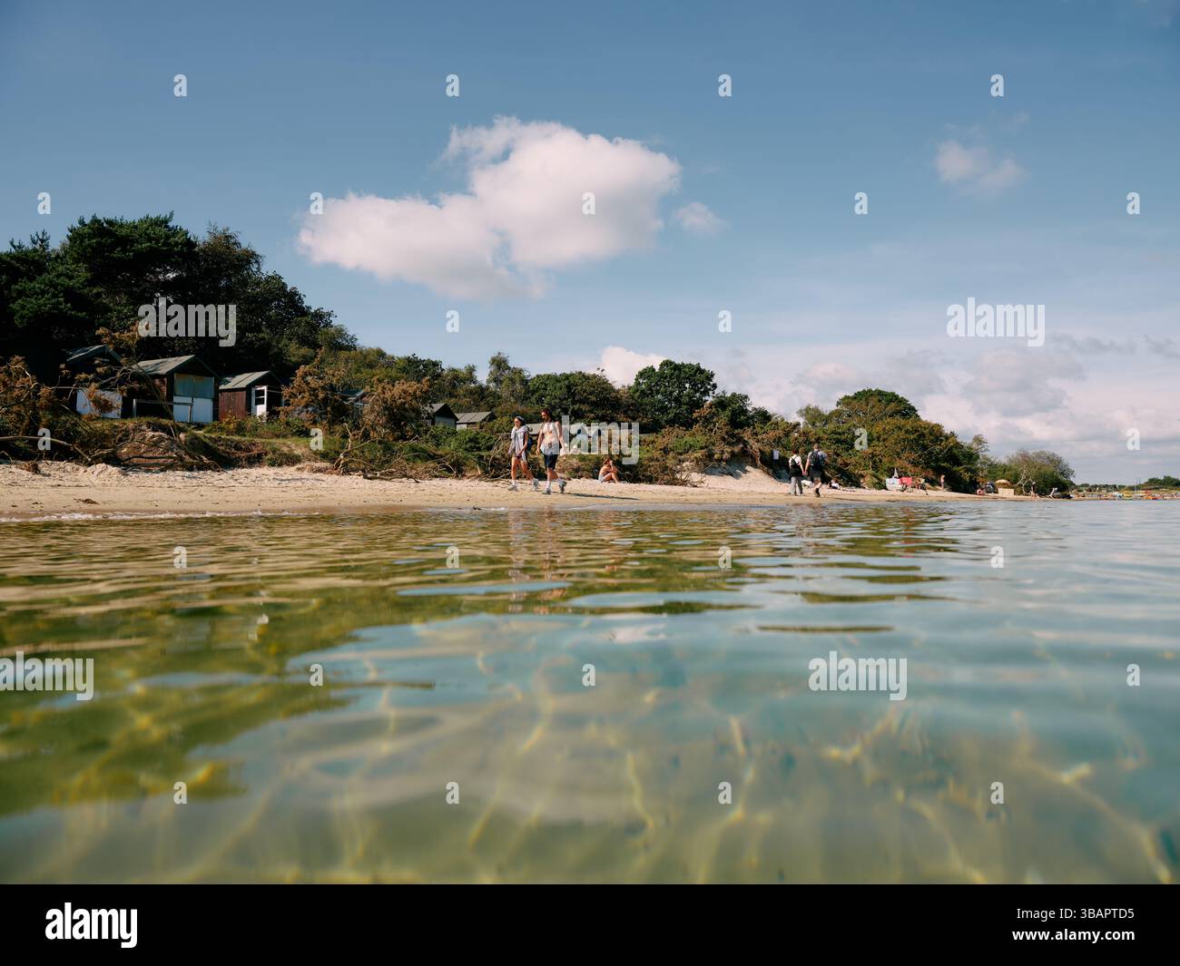 Studland Bay Beach and foreshore on a summer day on the Jurassic Coast ...