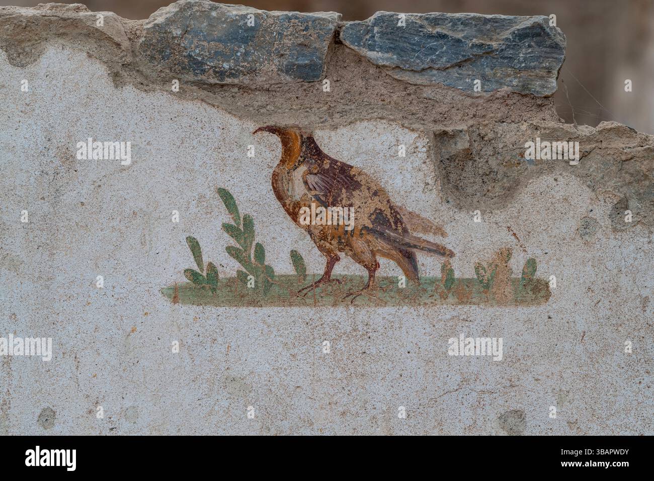 Terrace Houses, Ephesus – Delicate bird mosaic on plaster, showcasing ...