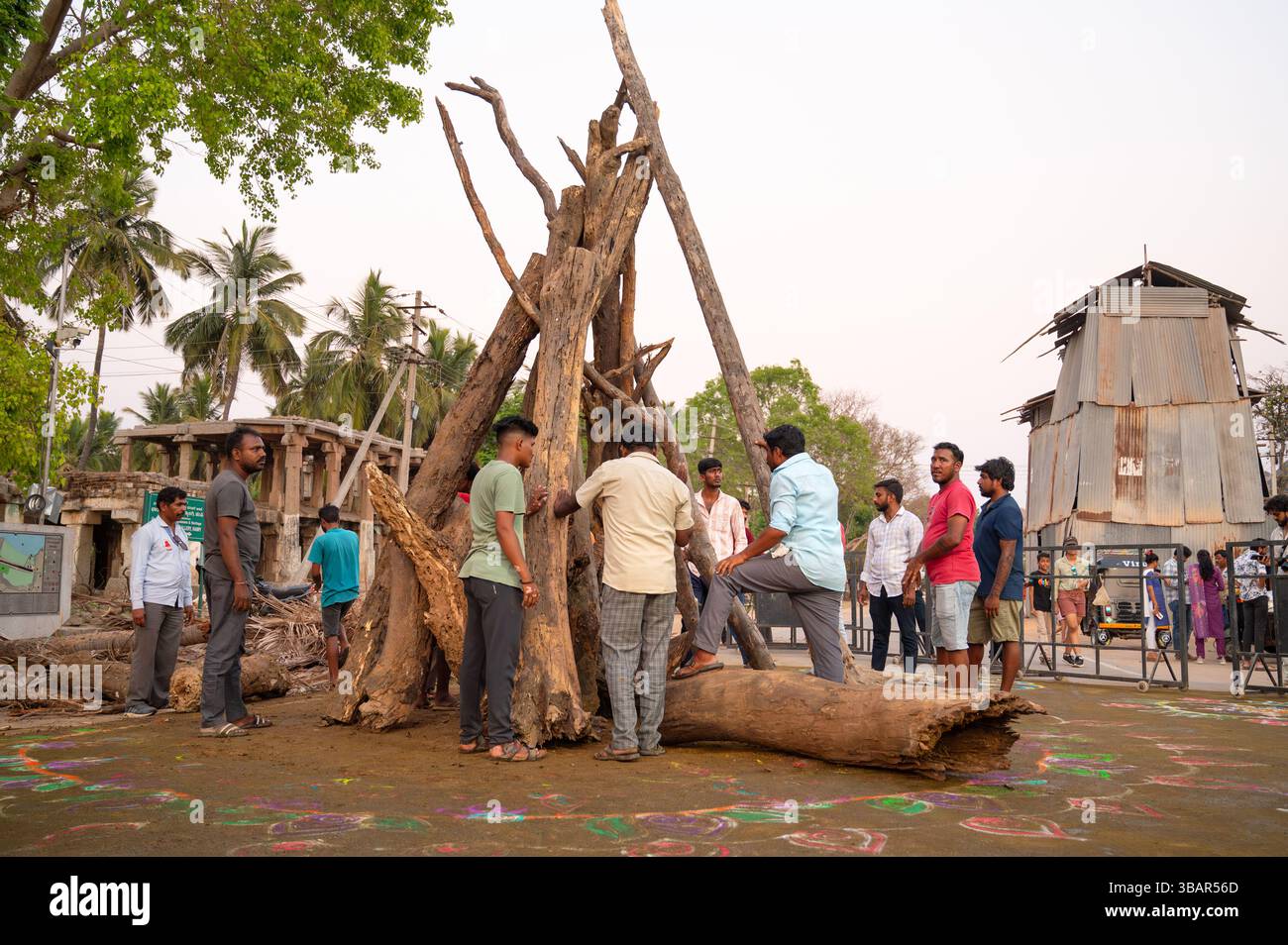 Holika Dahan, men collect wood for ritual bonfire, Kolam colorful ...