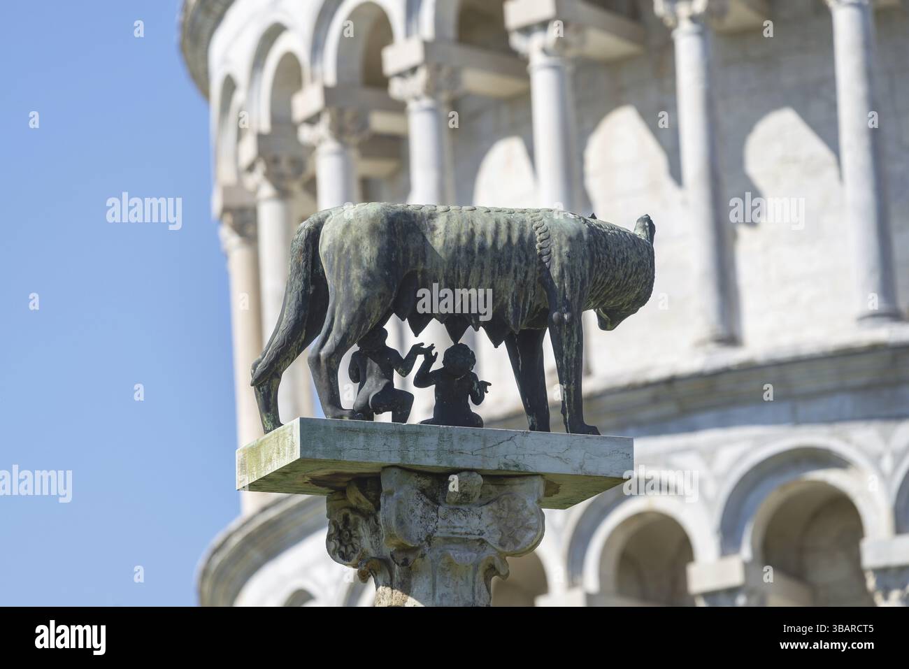 Capitoline she-wolf (lat. Lupa Capitolina), behind her the Leaning ...