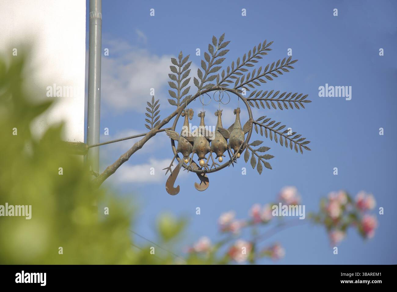 Eggs and dead animals hi-res stock photography and images - Alamy