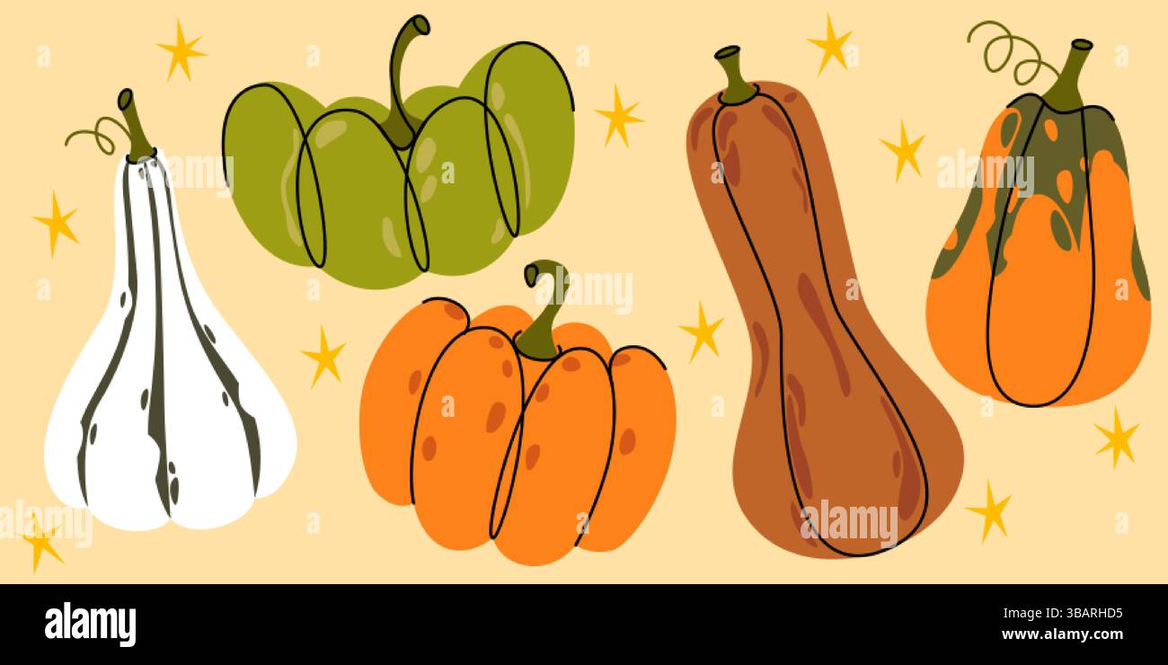 Pumpkin autumn harvest doodle illustrations - simple cozy line drawings ...