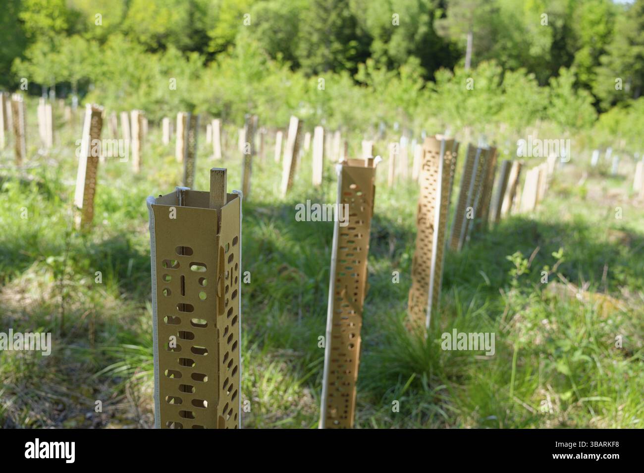 Environmentally friendly growth cover, organic, ecological ...