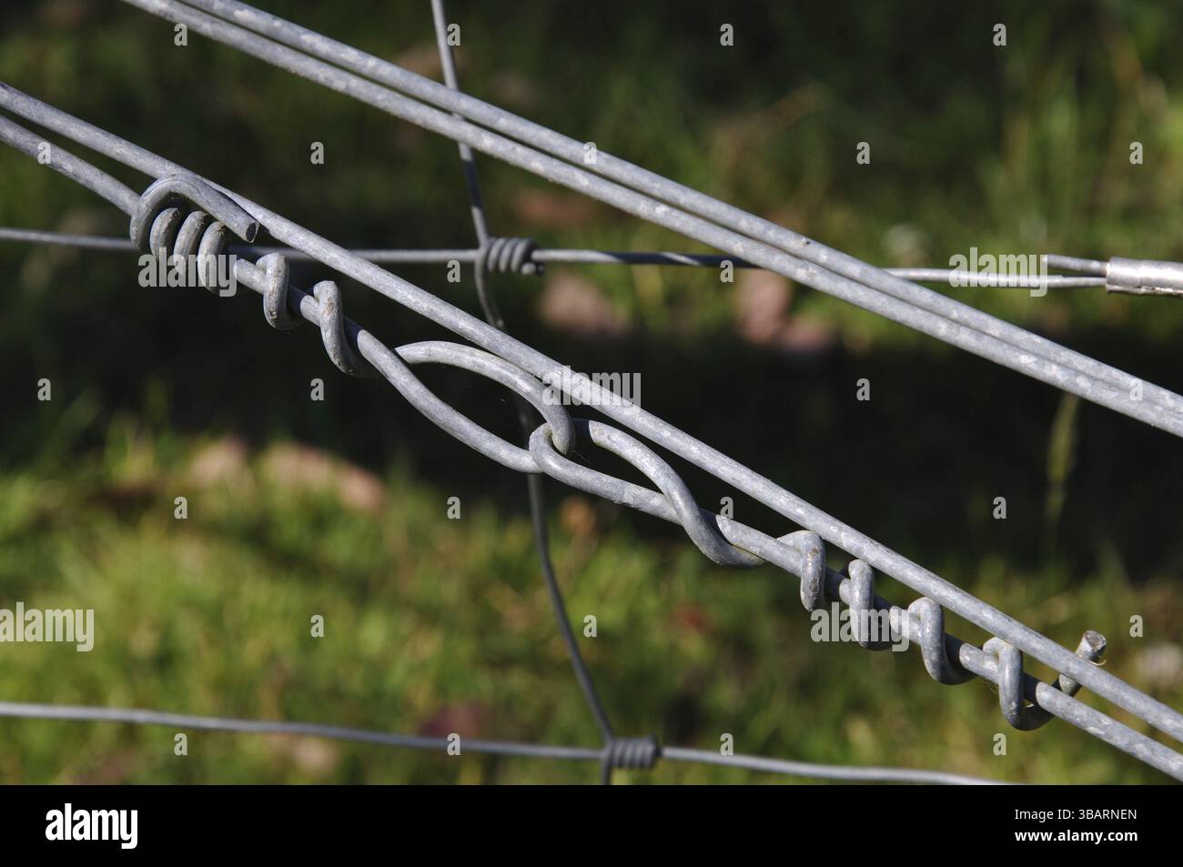 Fencing traditions hi-res stock photography and images - Alamy