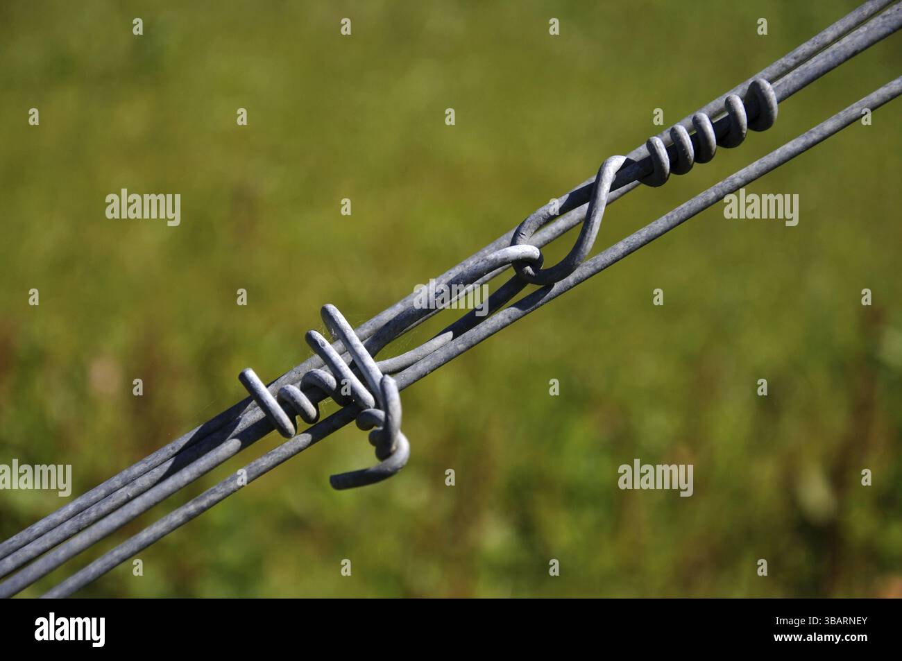 Number 8 fence wire hi-res stock photography and images - Alamy