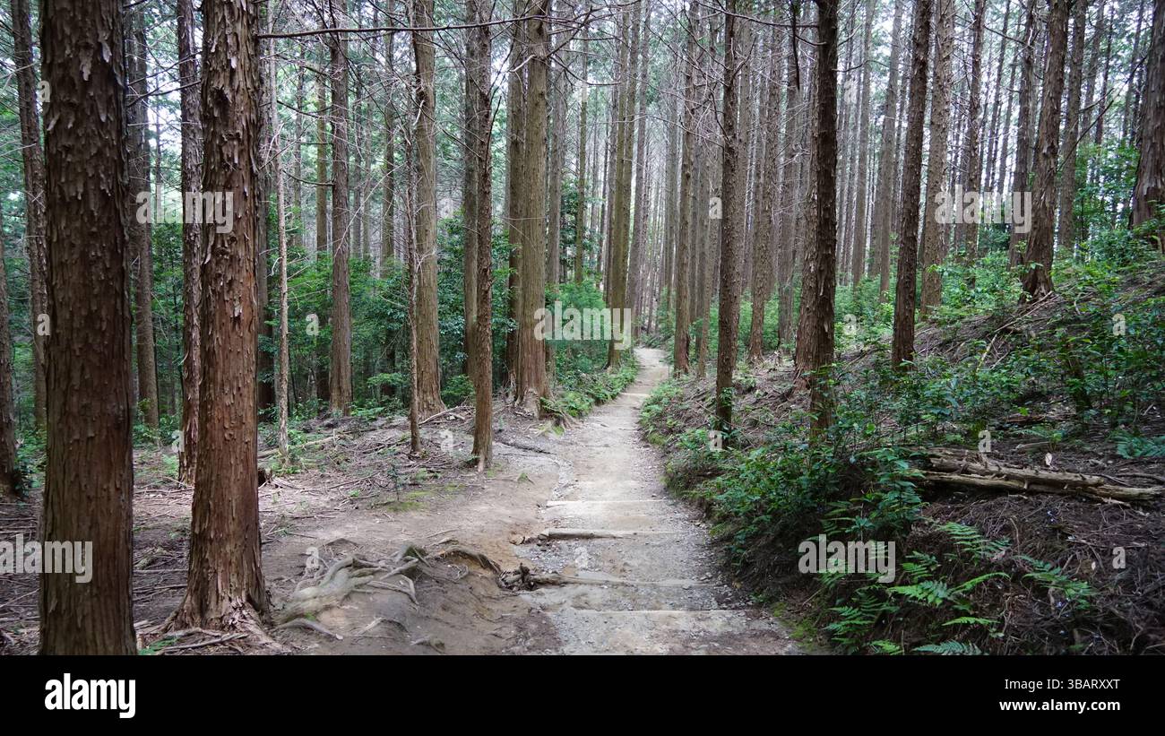 Toga shrine hi-res stock photography and images - Alamy