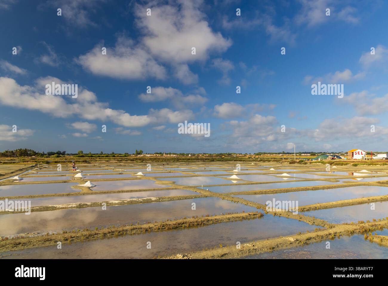 Salt farmer harvesting sea salt in salt evaporation ponds in L'Epine ...