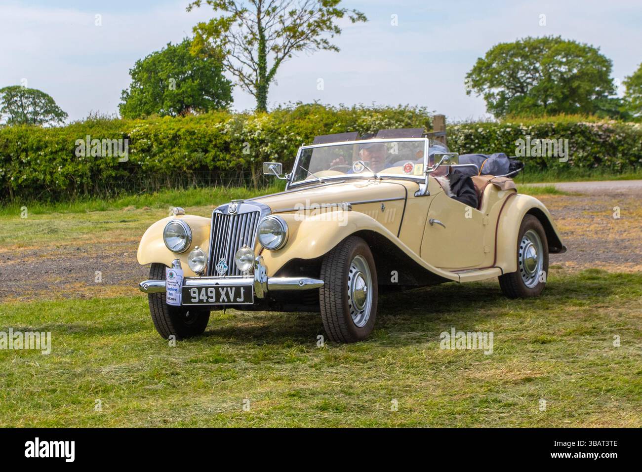 1954 50s fifties Cream MG Tf Petrol 1250 cc; 2025 Wheels Up North, car ...
