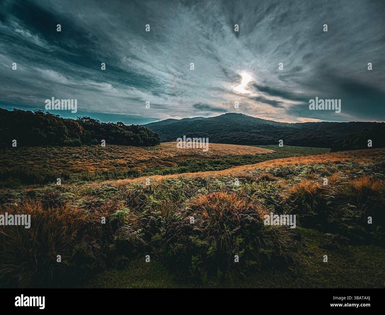 Breathtaking view of Horton Plains National Park, located in central ...