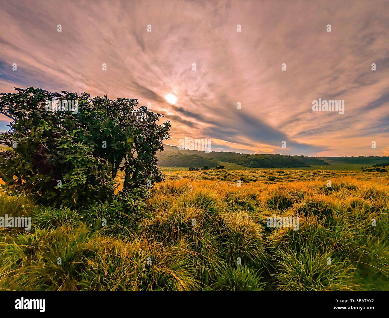 Beautiful Horton Plains National Park in Sri Lanka. A paradise of rich ...