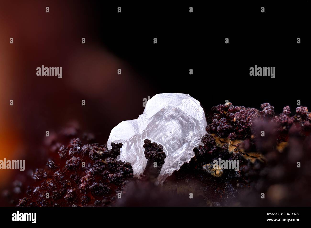 White Cerussite on oxide. Specimen from Mas Dieu, Laval-Pradel, France ...