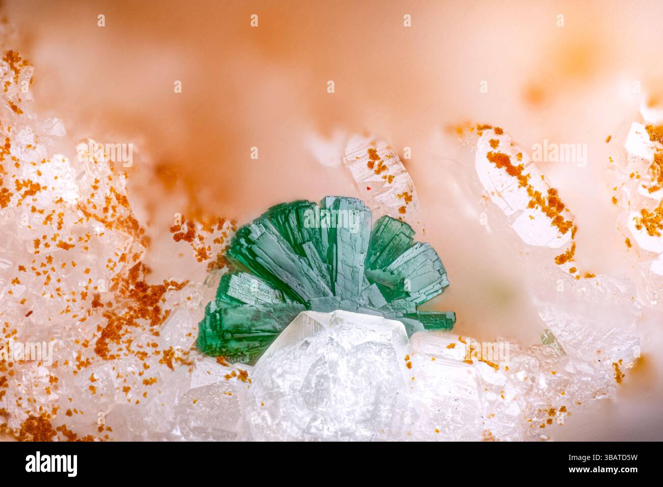 Green Cornwallite star. Specimen from Clara mine, Oberwolfach, Germany ...