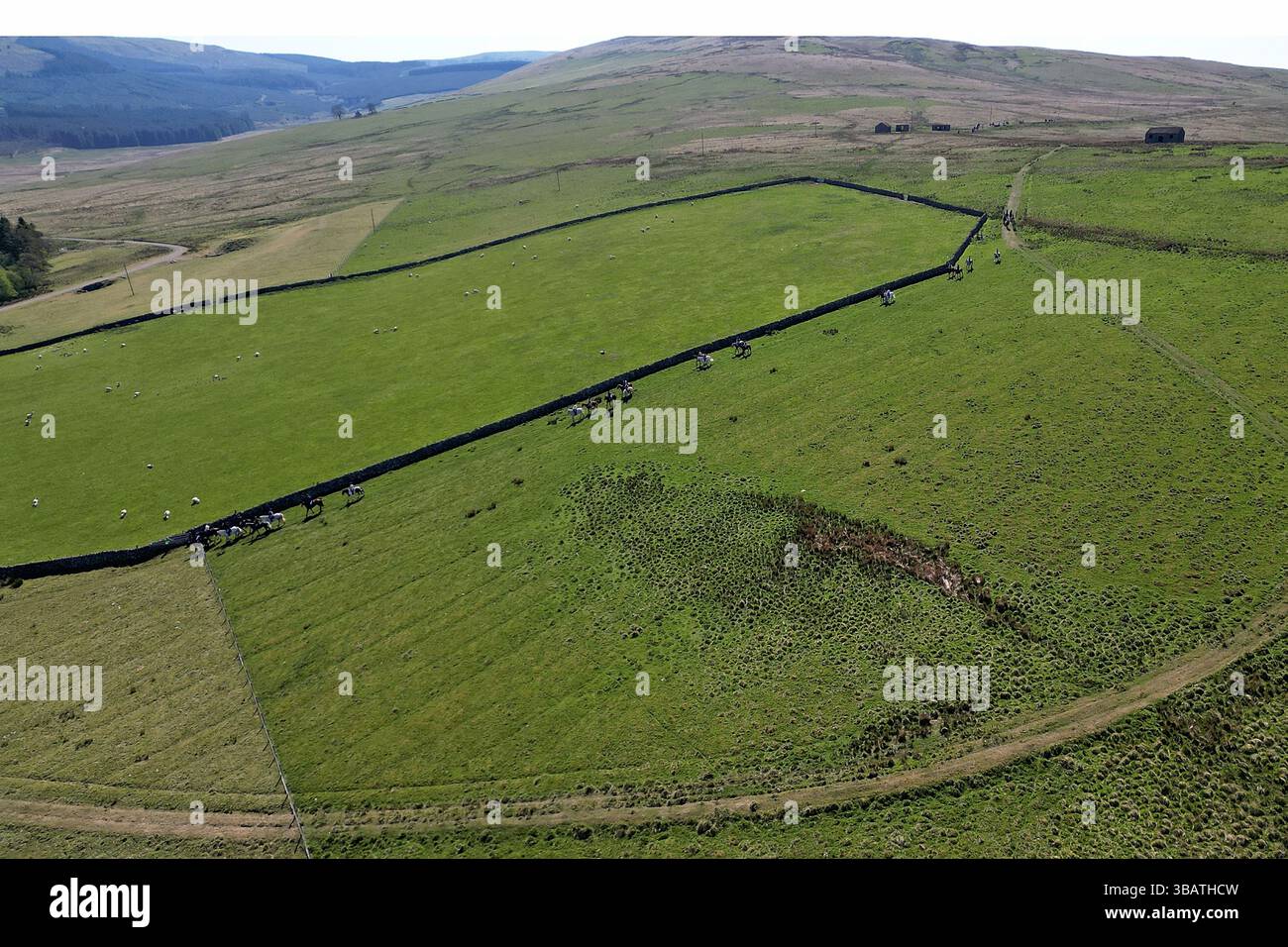 Tuesday 13 May 2025 Hawick Common Riding 2025, Cogsmill Rideout. Riders ...
