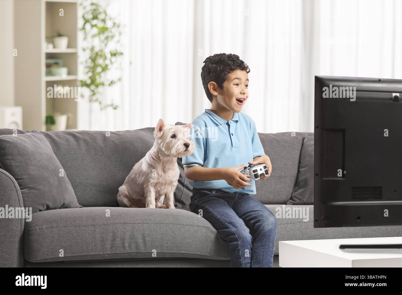 Video dog kid hi-res stock photography and images - Alamy