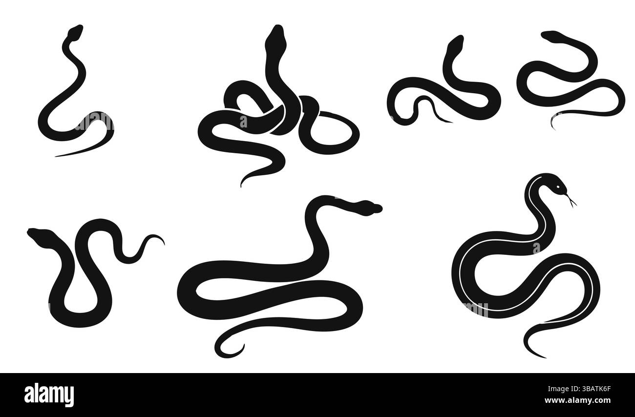 Snake silhouette vector hi-res stock photography and images - Alamy