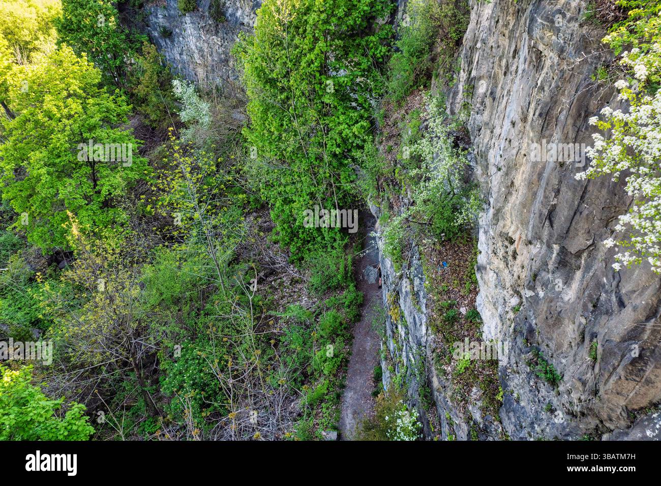 Under Wintergreen Flats of Niagara Glen, Steep cliff rises above the ...