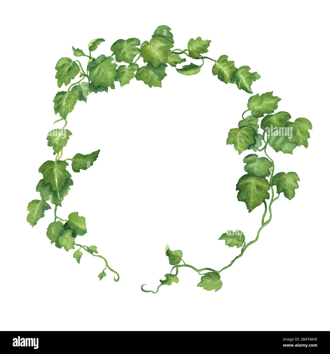 Floral wreath of evergreen ivy leaves. Springtime garden wreath. Circle ...