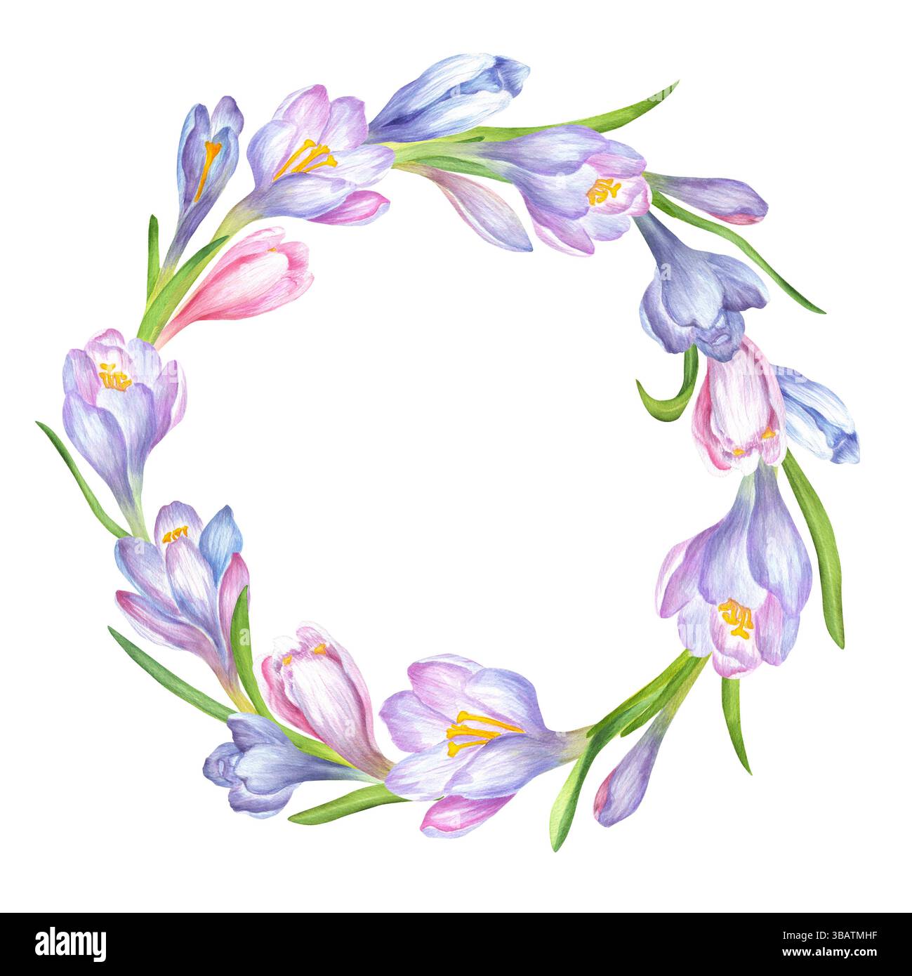 Floral wreath of soft purple, blue and pink crocus flowers and green ...