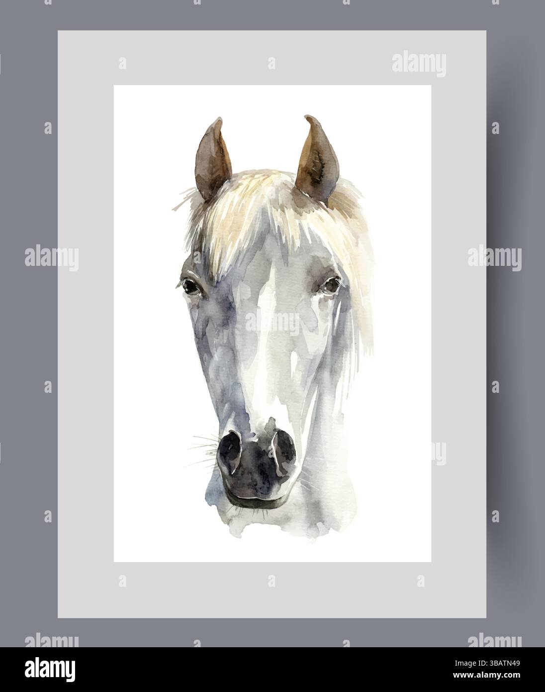 Muzzle of white horse with light bangs between large ears on poster ...