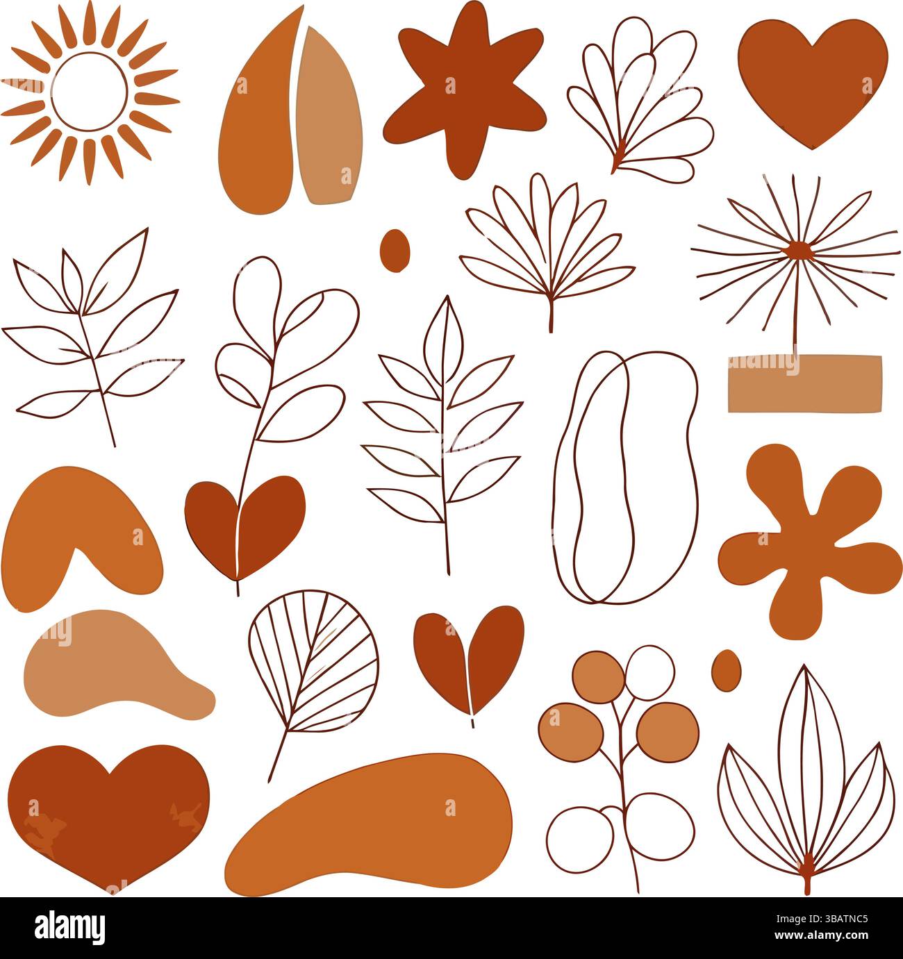 Abstract botanical shapes Stock Vector Images - Alamy