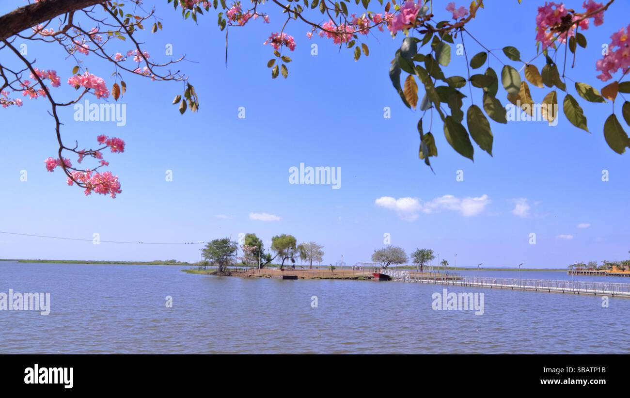 Panorámicas de la Isla de La Esperanza en Altamira México Stock Photo ...