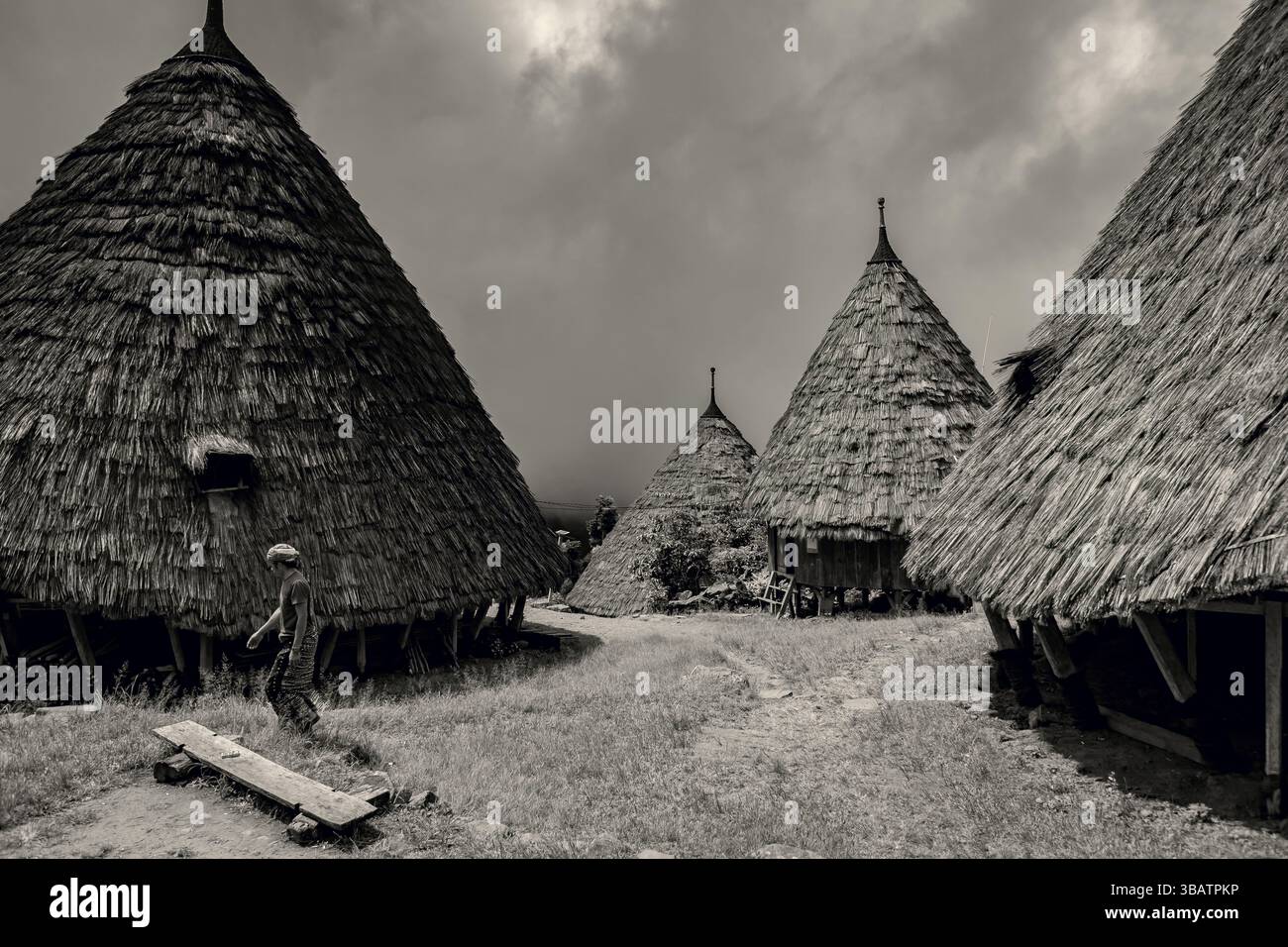 Wae Rebo traditional village the house roofs covered with straw remote ...