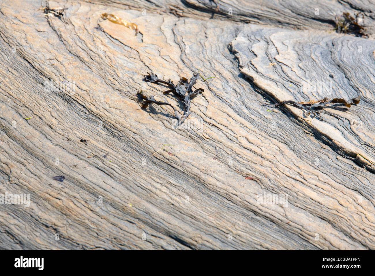 Abstract rock erosion Stock Photo - Alamy