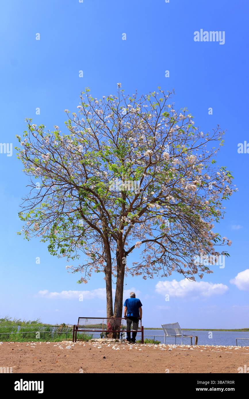 Bondad de la naturaleza hi-res stock photography and images - Alamy