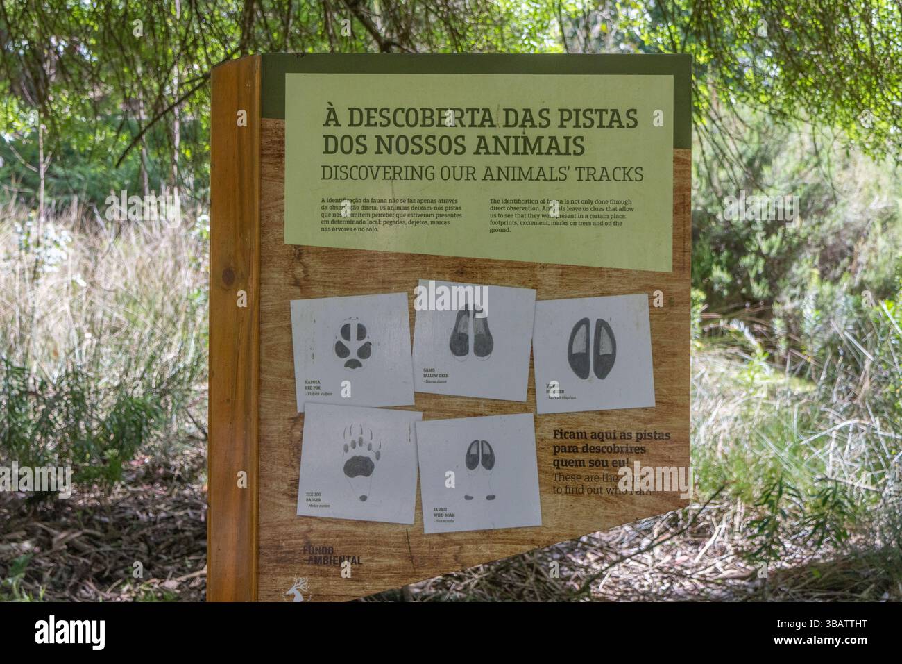 Informative sign displaying various animal tracks for identification at ...
