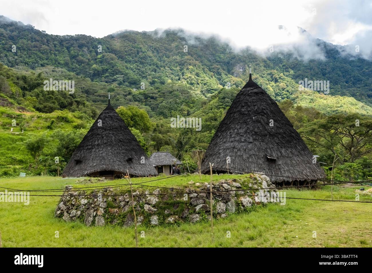 Wae Rebo traditional village the house roofs covered with straw remote ...