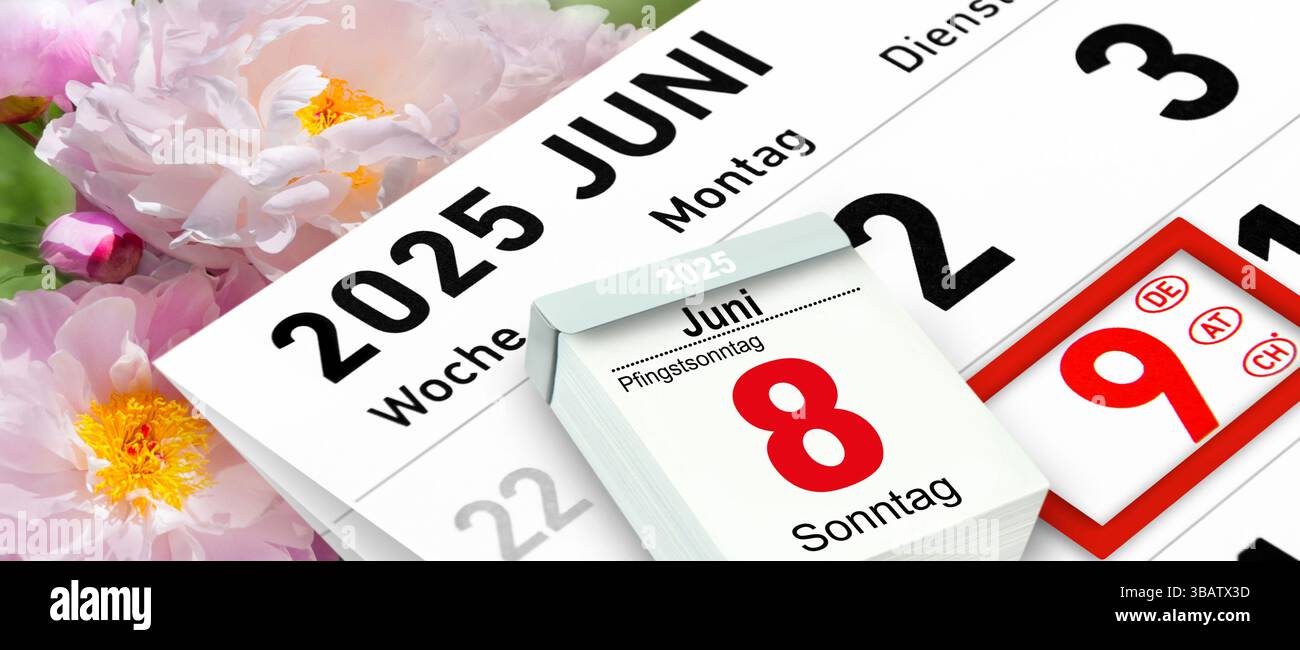 Pfingstrosen hi-res stock photography and images - Alamy