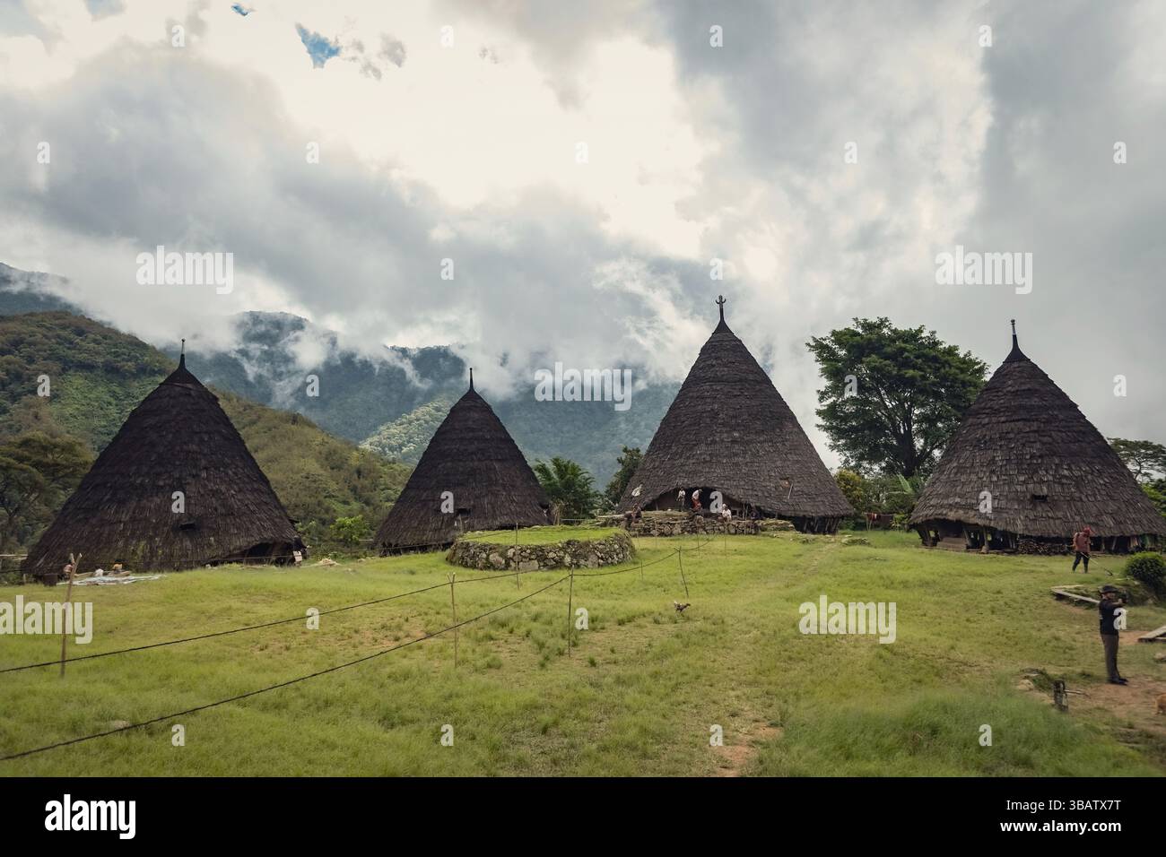 Wae Rebo traditional village the house roofs covered with straw remote ...