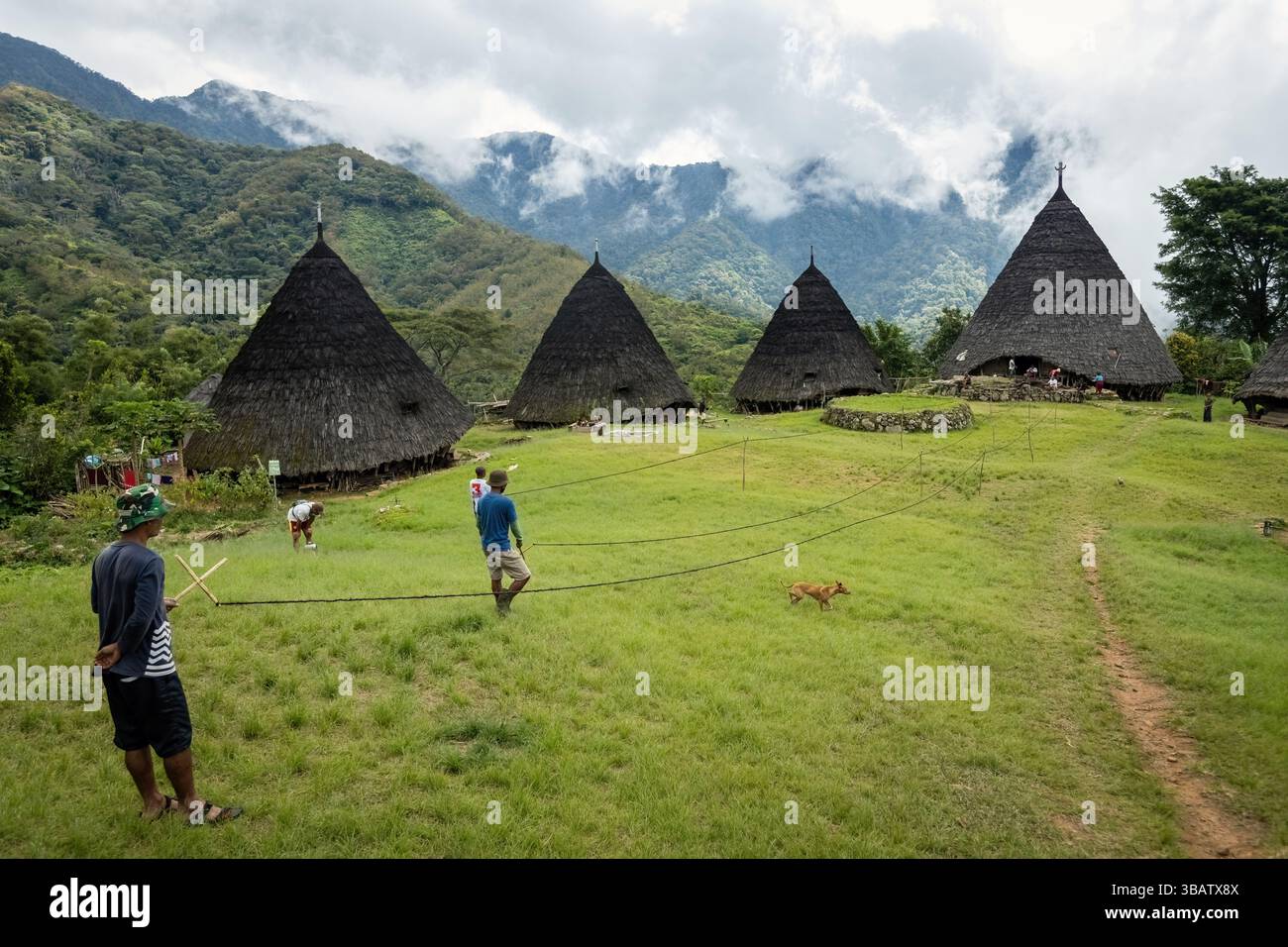 Wae Rebo traditional village the house roofs covered with straw remote ...