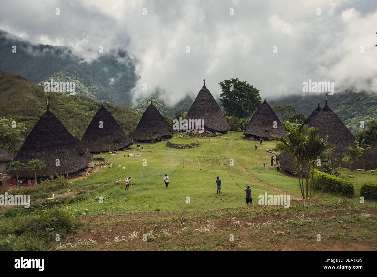 Wae Rebo traditional village the house roofs covered with straw remote ...