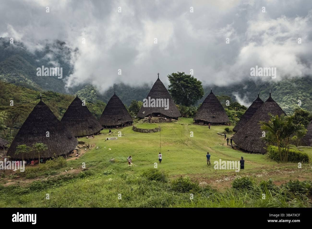 Wae Rebo traditional village the house roofs covered with straw remote ...