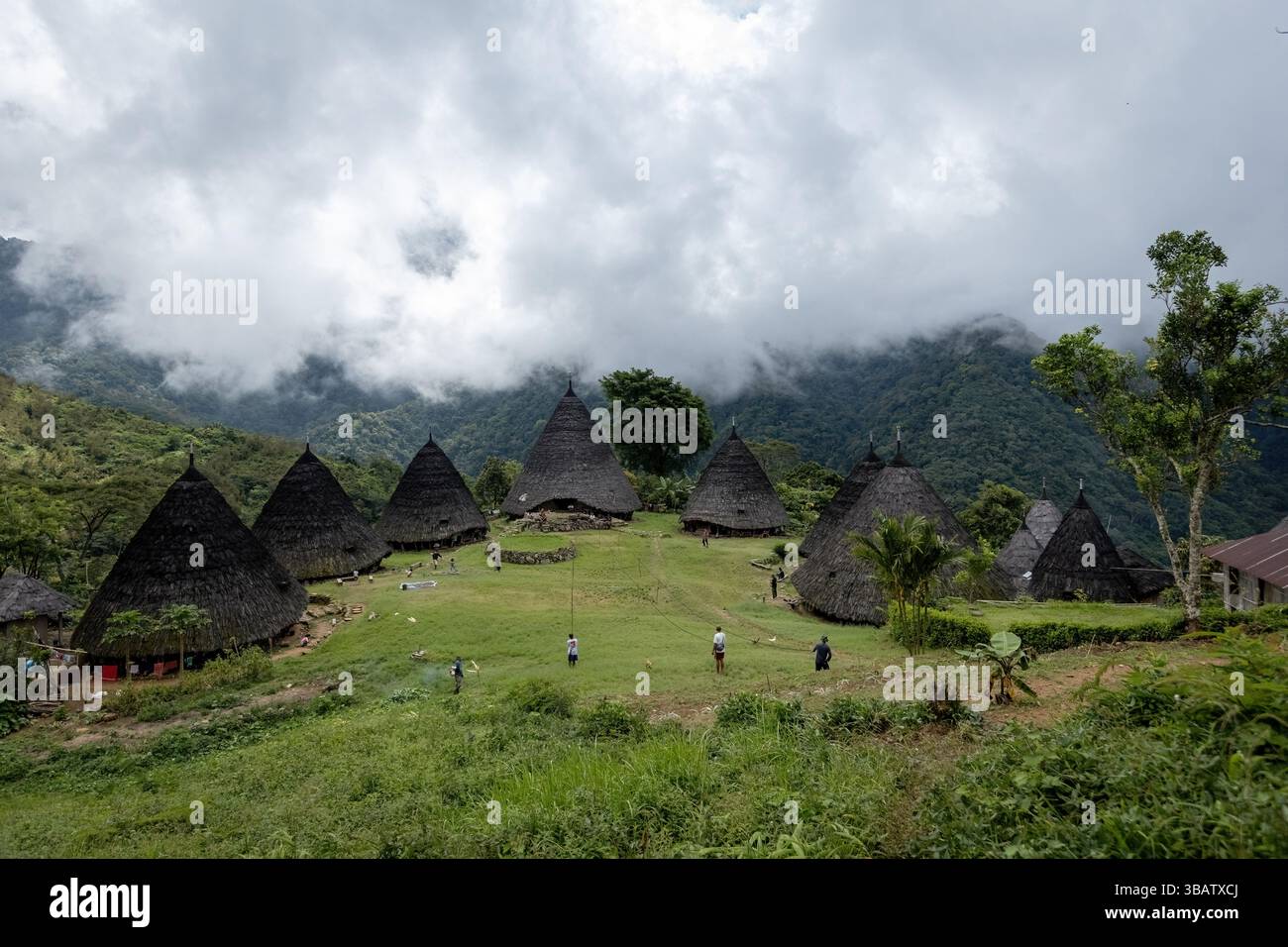 Wae Rebo traditional village the house roofs covered with straw remote ...
