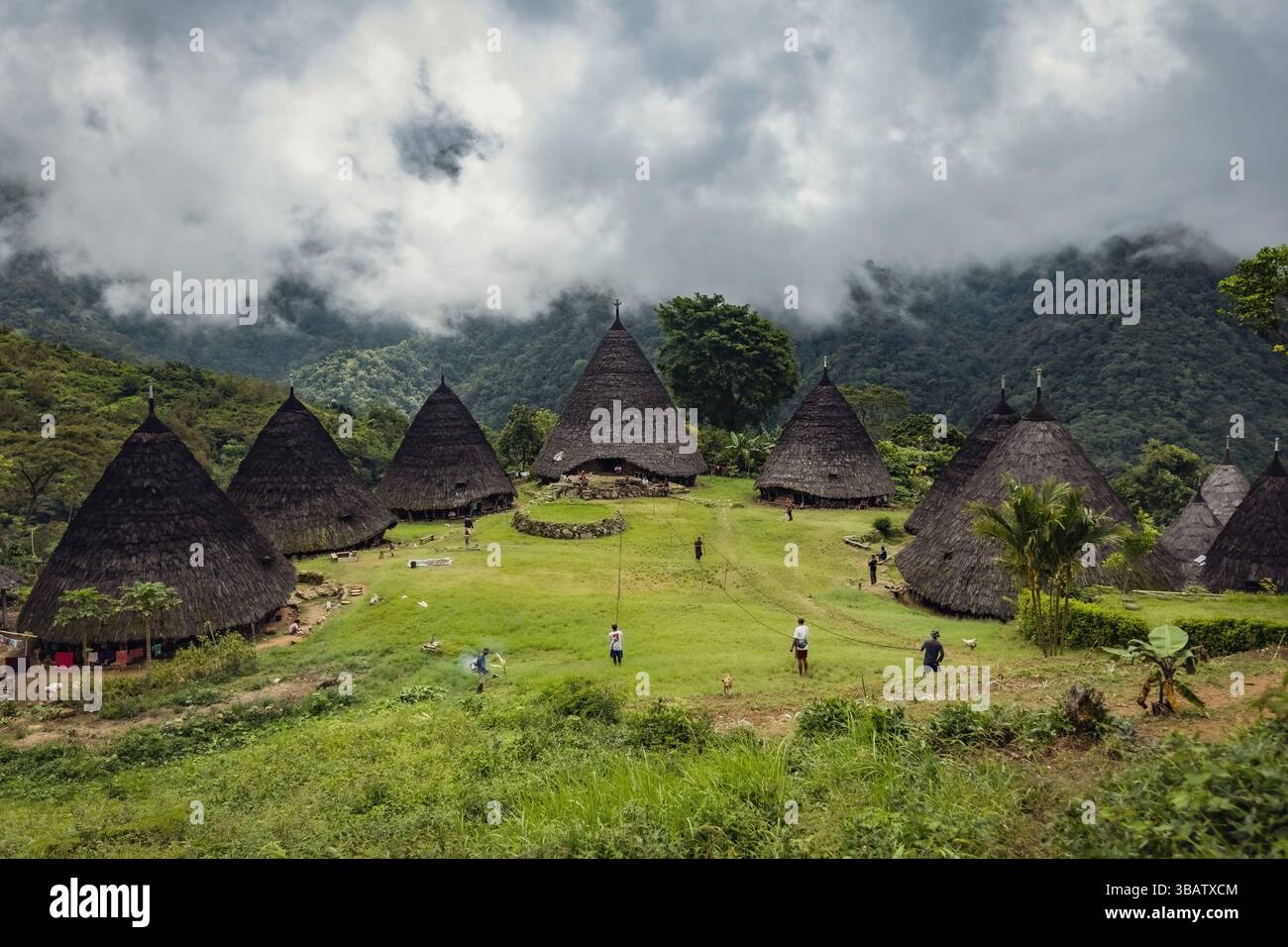 Wae Rebo traditional village the house roofs covered with straw remote ...