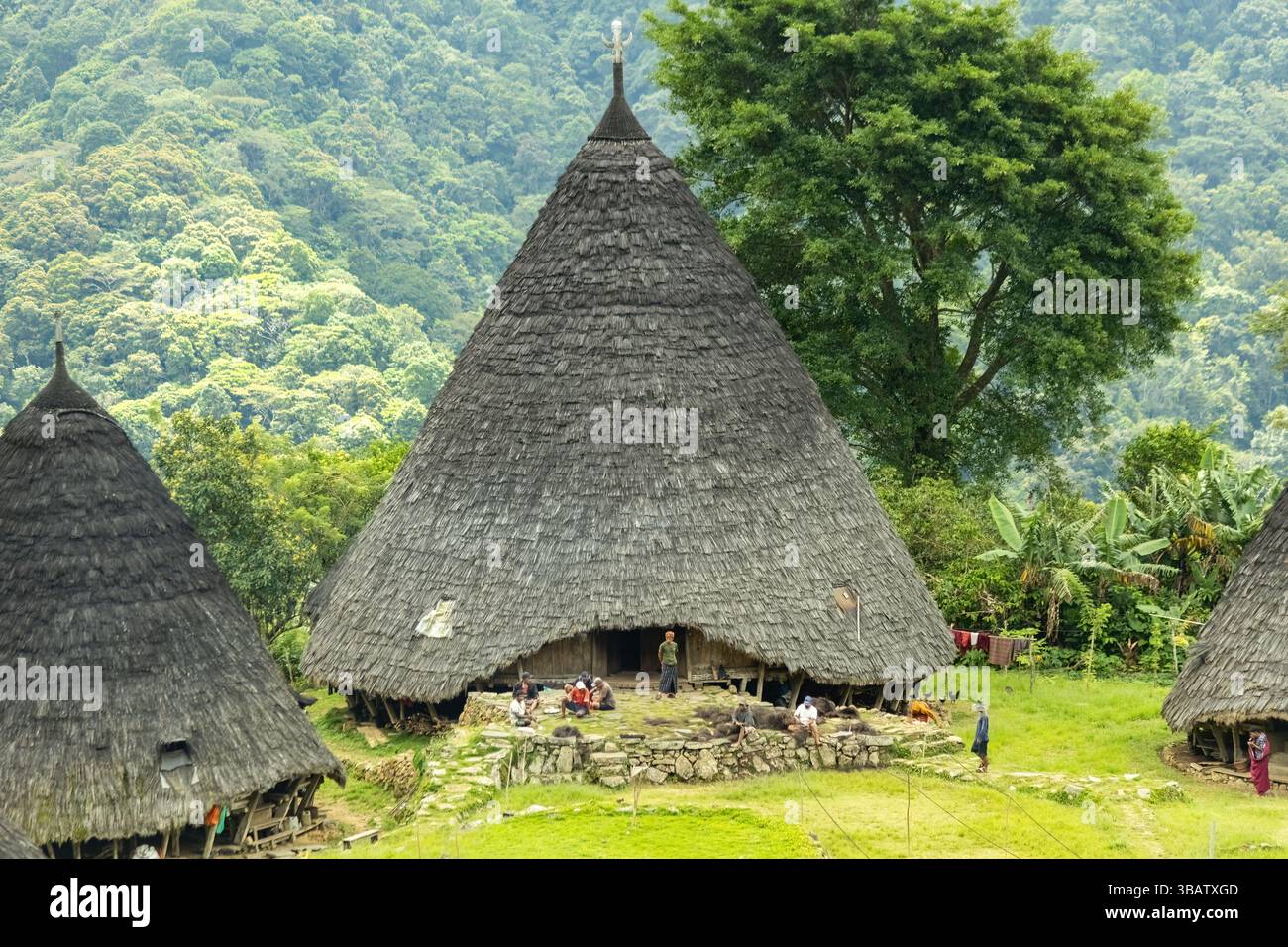 Wae Rebo traditional village the house roofs covered with straw remote ...