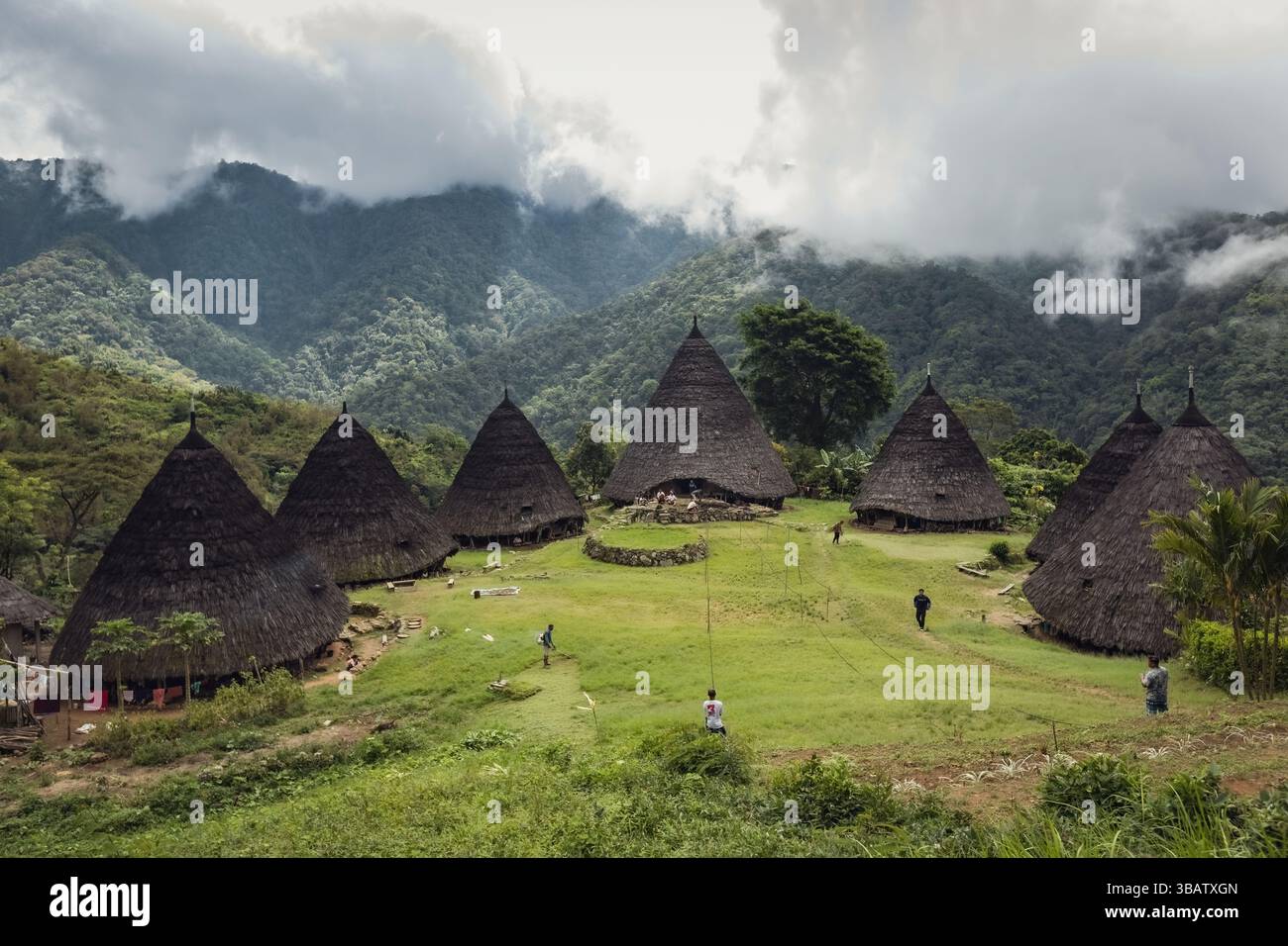 Wae Rebo traditional village the house roofs covered with straw remote ...