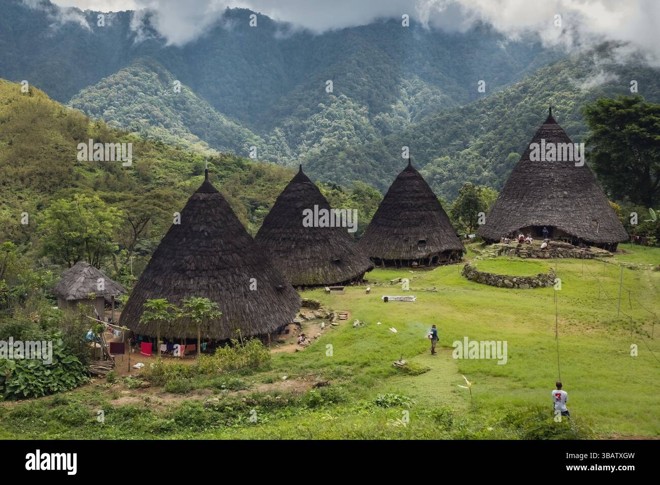 Wae Rebo traditional village the house roofs covered with straw remote ...
