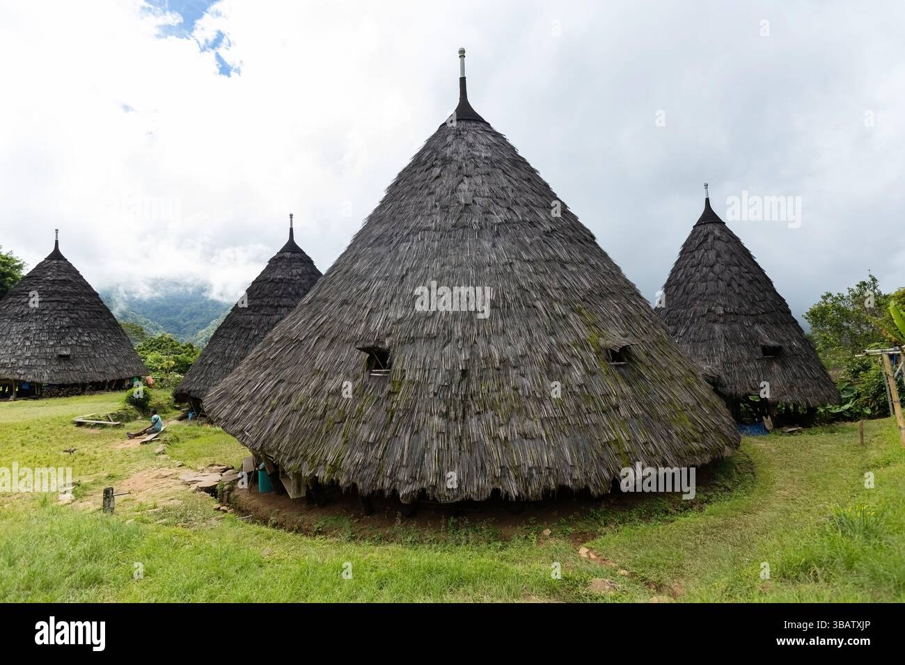 Wae Rebo traditional village the house roofs covered with straw remote ...