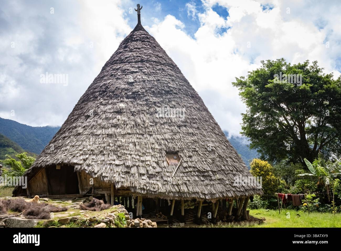 Wae Rebo traditional village the house roofs covered with straw remote ...