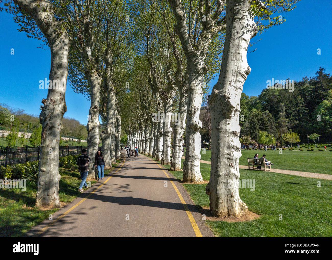 Beykoz Glass and Crystal Museum Garden in Istanbul, Turkey Stock Photo ...