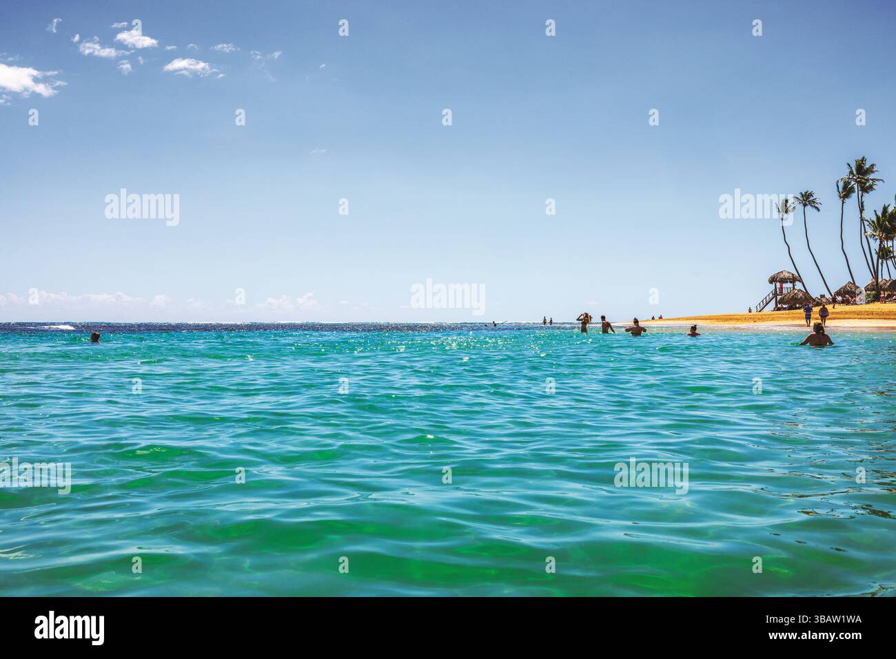 People swimming in emerald Atlantic Ocean near sandy beach with palm ...