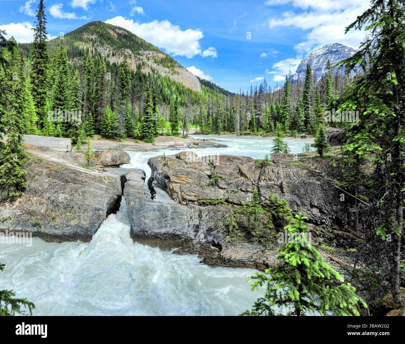 Summer in natural bridge yoho hi-res stock photography and images - Alamy