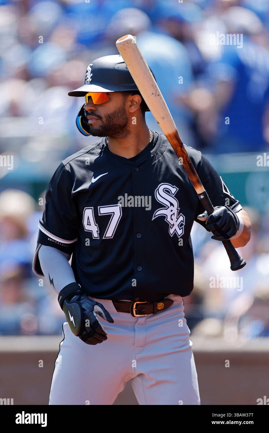 KANSAS CITY, MO - MAY 08: Chicago White Sox outfielder Joshua Palacios (47) looks on while ...