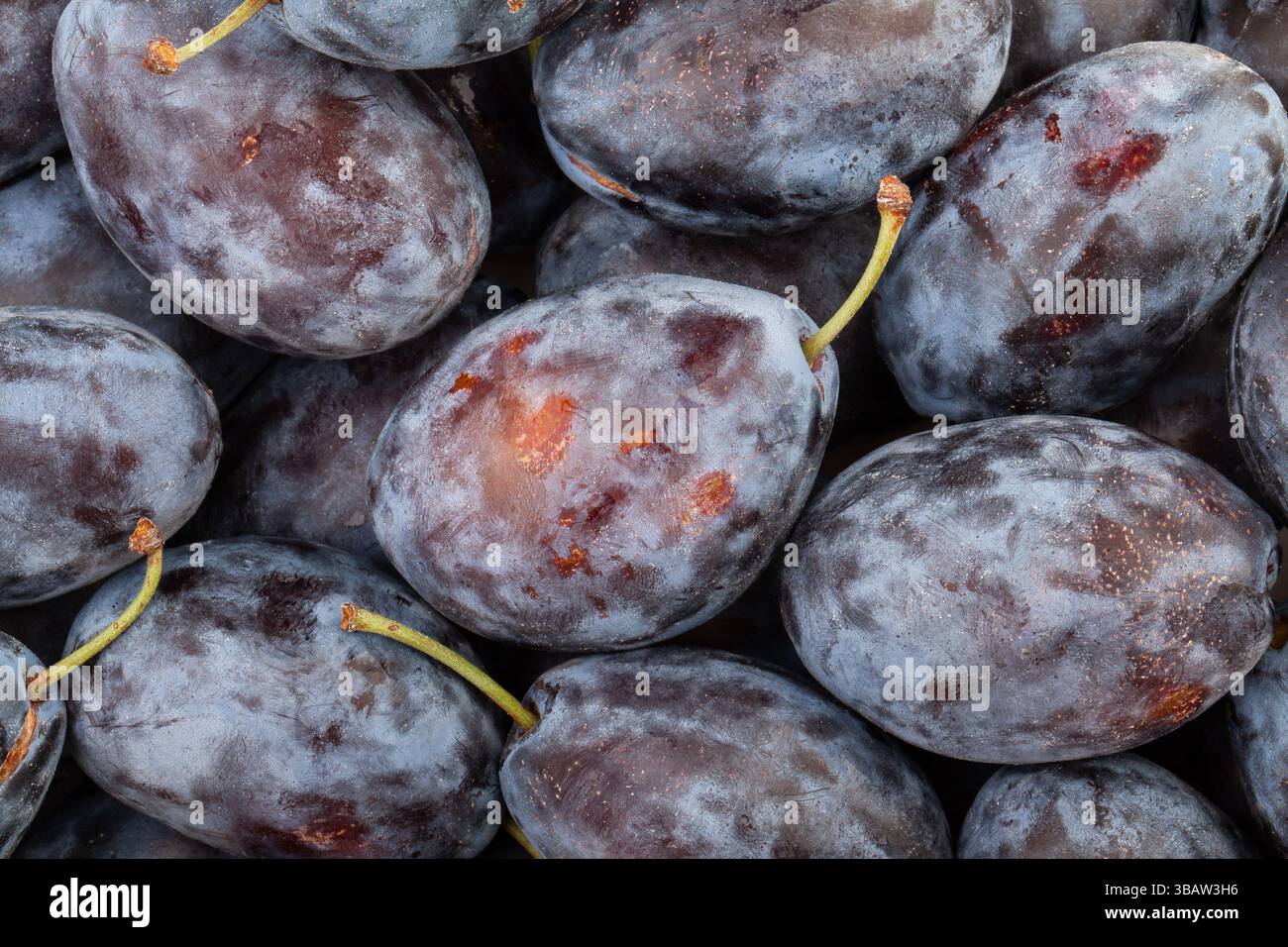 Plum top hi-res stock photography and images - Alamy