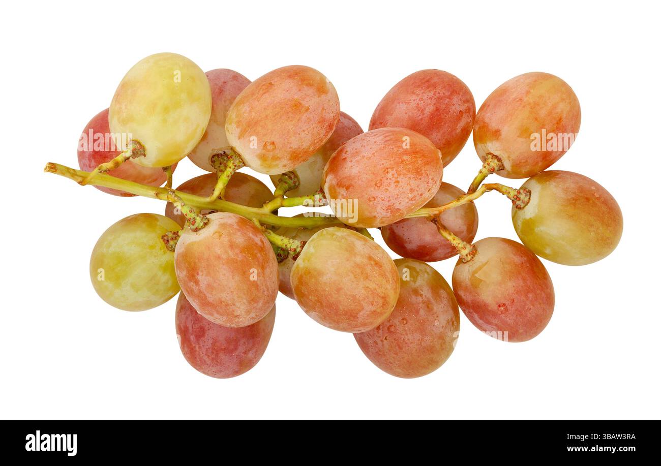 Red side Cut Out Stock Images & Pictures - Alamy